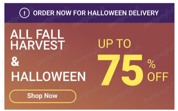 80% Off LTD Commodities Coupons & Promo Codes - Oct 2022